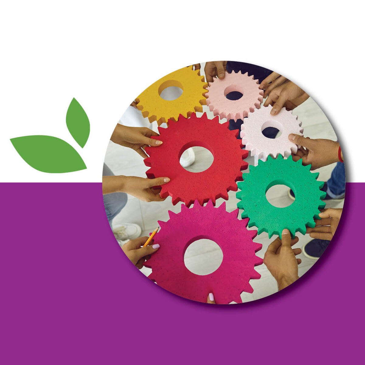 San Diego – Lifelong Adventure